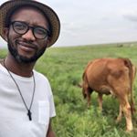 David Kau – Bio, Birthday, Age, Video | Cameo